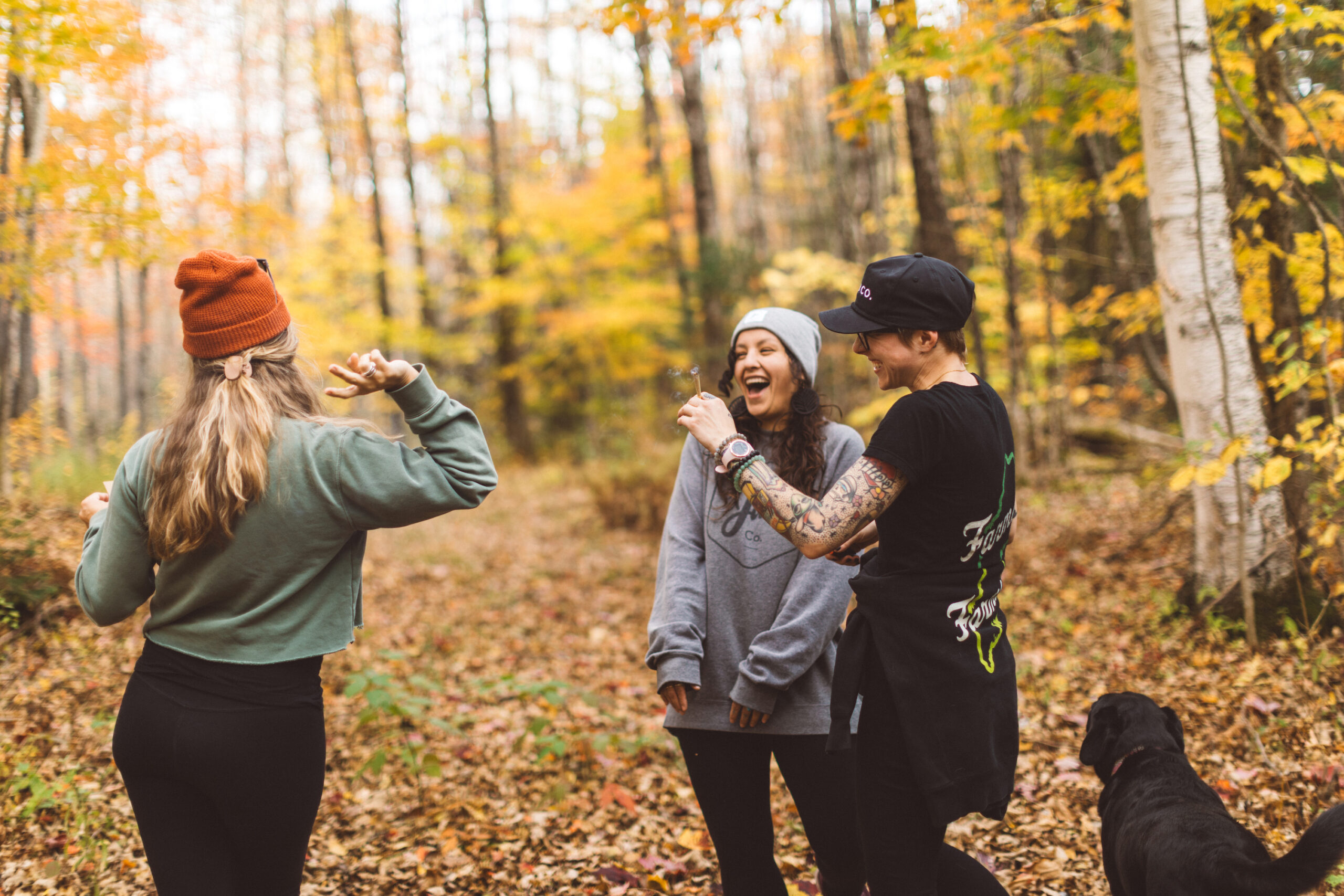 Peak High in Peak Foliage - Fall and Cannabis in Maine by Hannah Childs ...