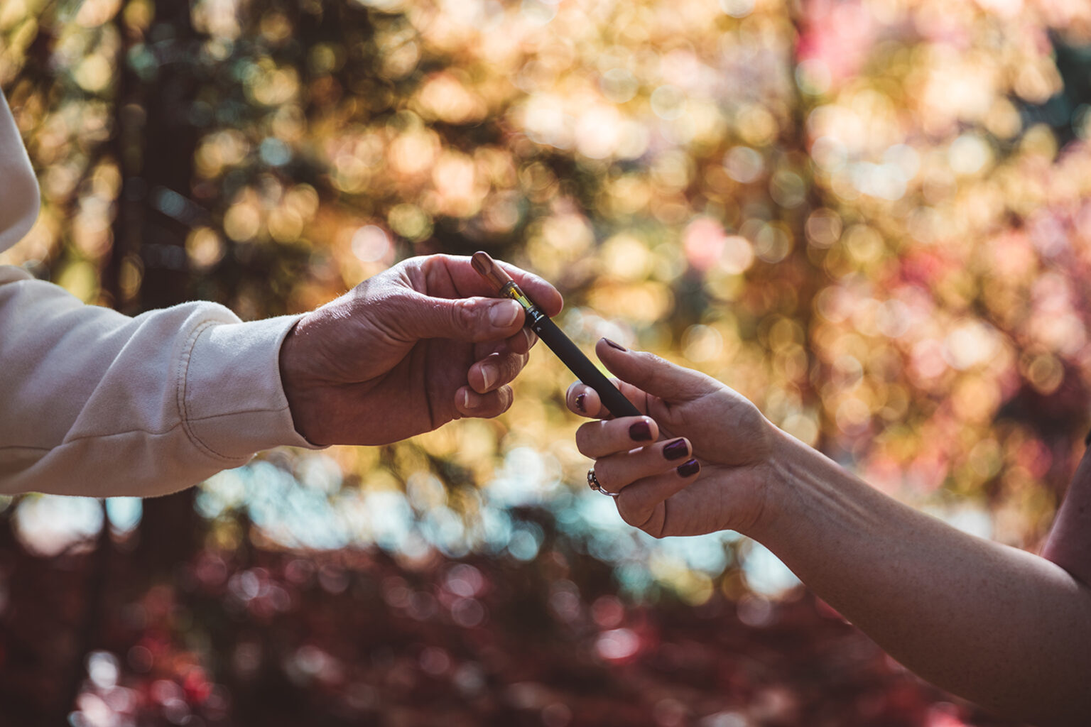 Fall Stains: The Best Cannabis Strains to Enjoy This Autumn