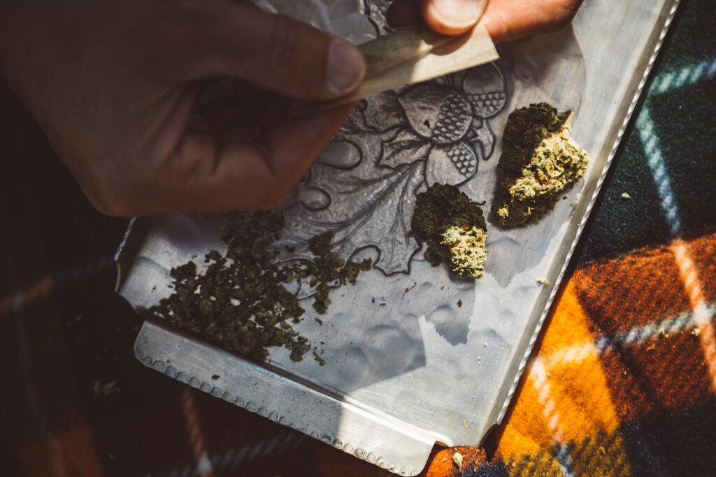 Fall Stains: The Best Cannabis Strains to Enjoy This Autumn